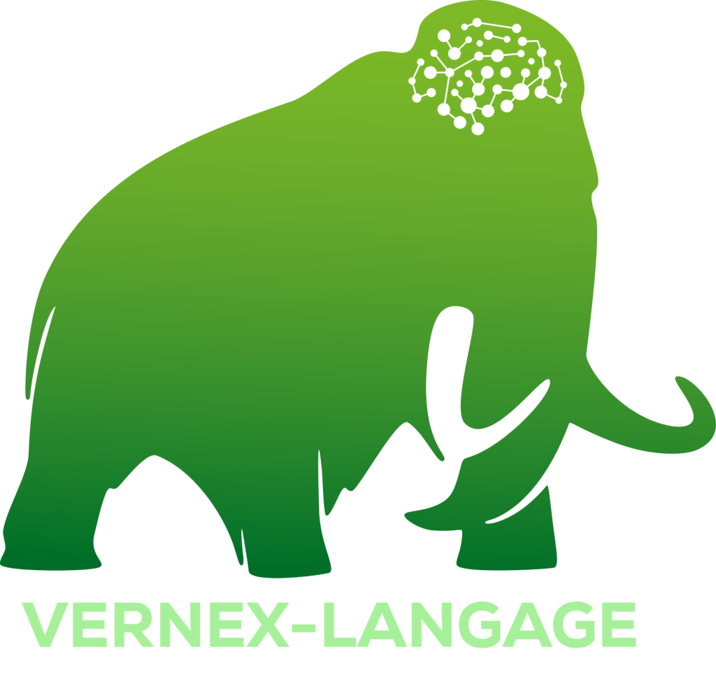 Logiciel – Vernex Langage